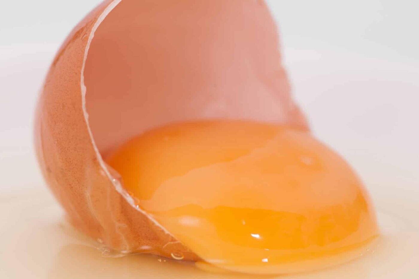 Hommak Homegenizer and Innovated Solutions - Hommak USA