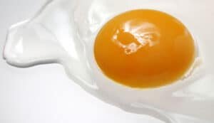 Egg Homogenization and Industrial Use of Eggs - Hommak USA
