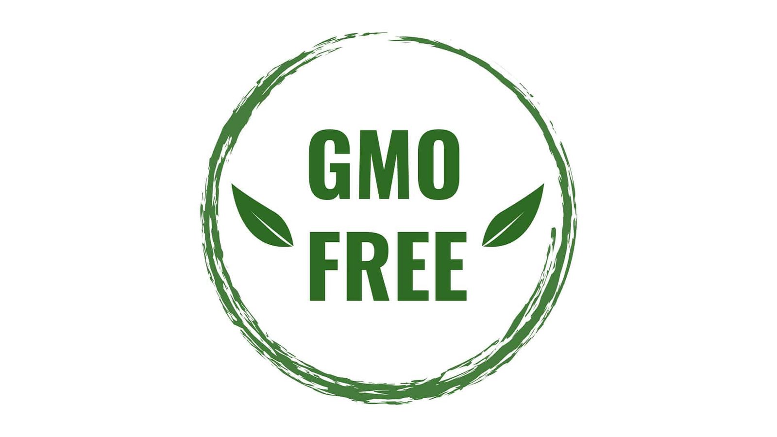 The Critical Role of Homogenizers in Achieving GMO-Free Products ...