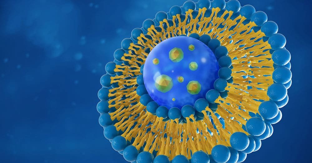 The Crucial Role of Homogenizers in Liposome Production in the ...